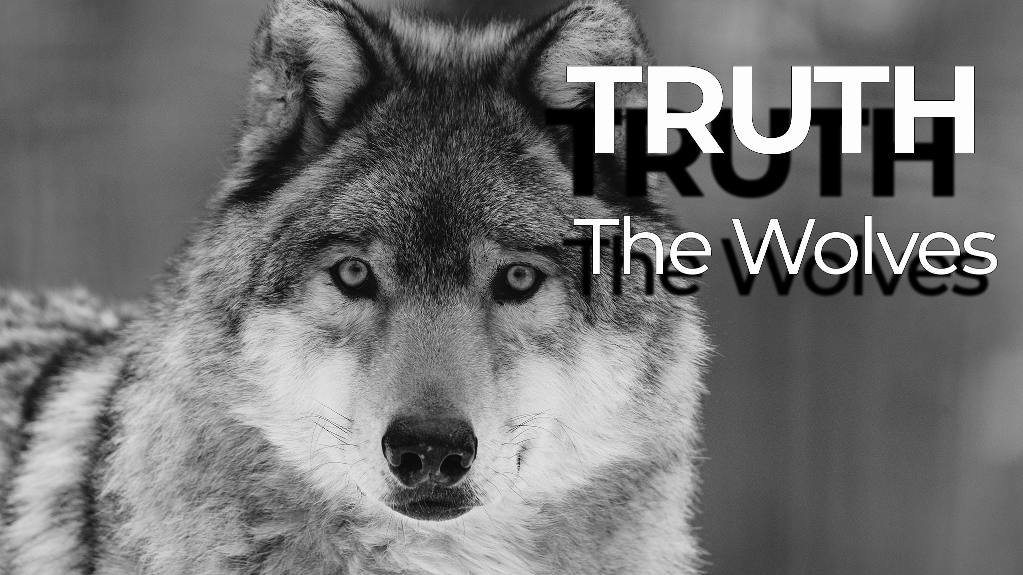 The Truth (Part 2): The Wolves - Sermon by Steven Loots - Harvesters ...